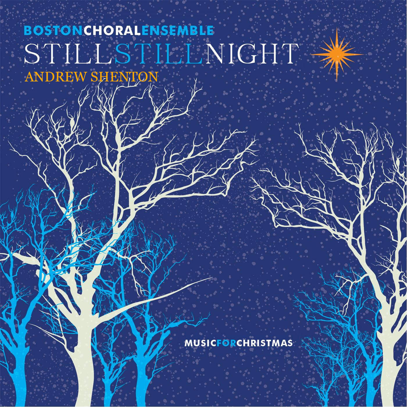 Still, Still Night - Andrew Shenton